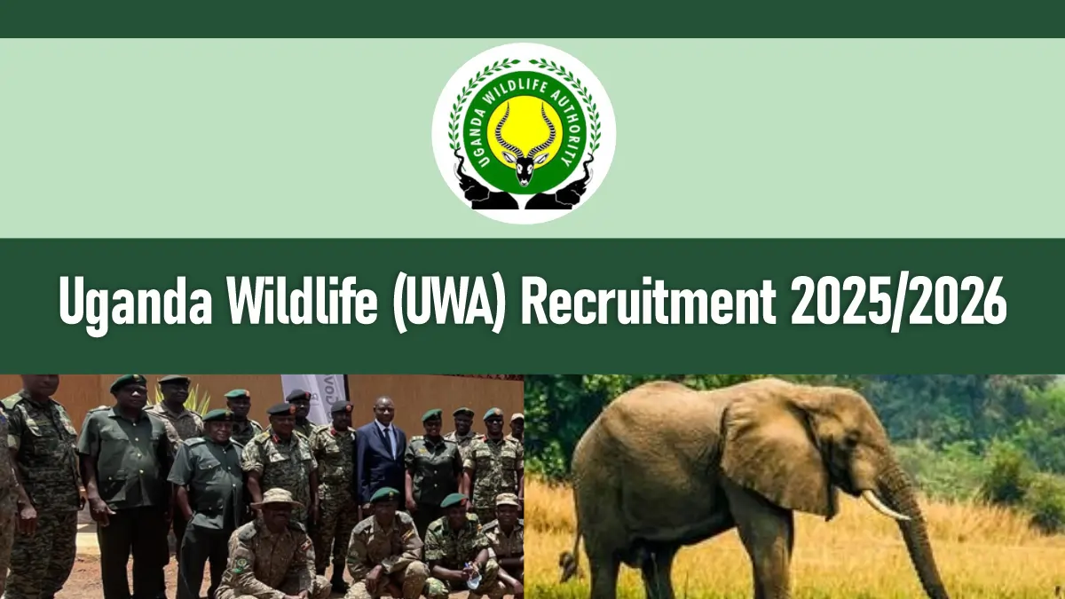 UWA Recruitment 2026/2027 Application Form PDF Portal